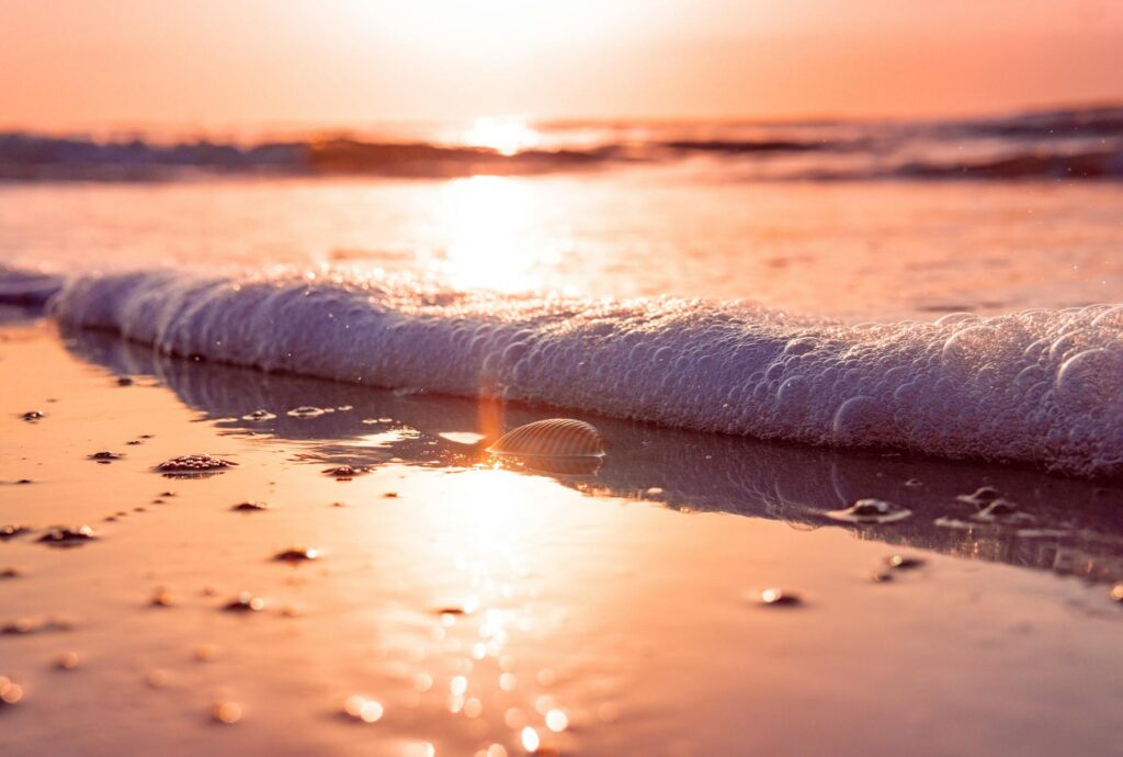 Cocoa Beach - A Traveler's Guide to Cocoa Beach, Florida